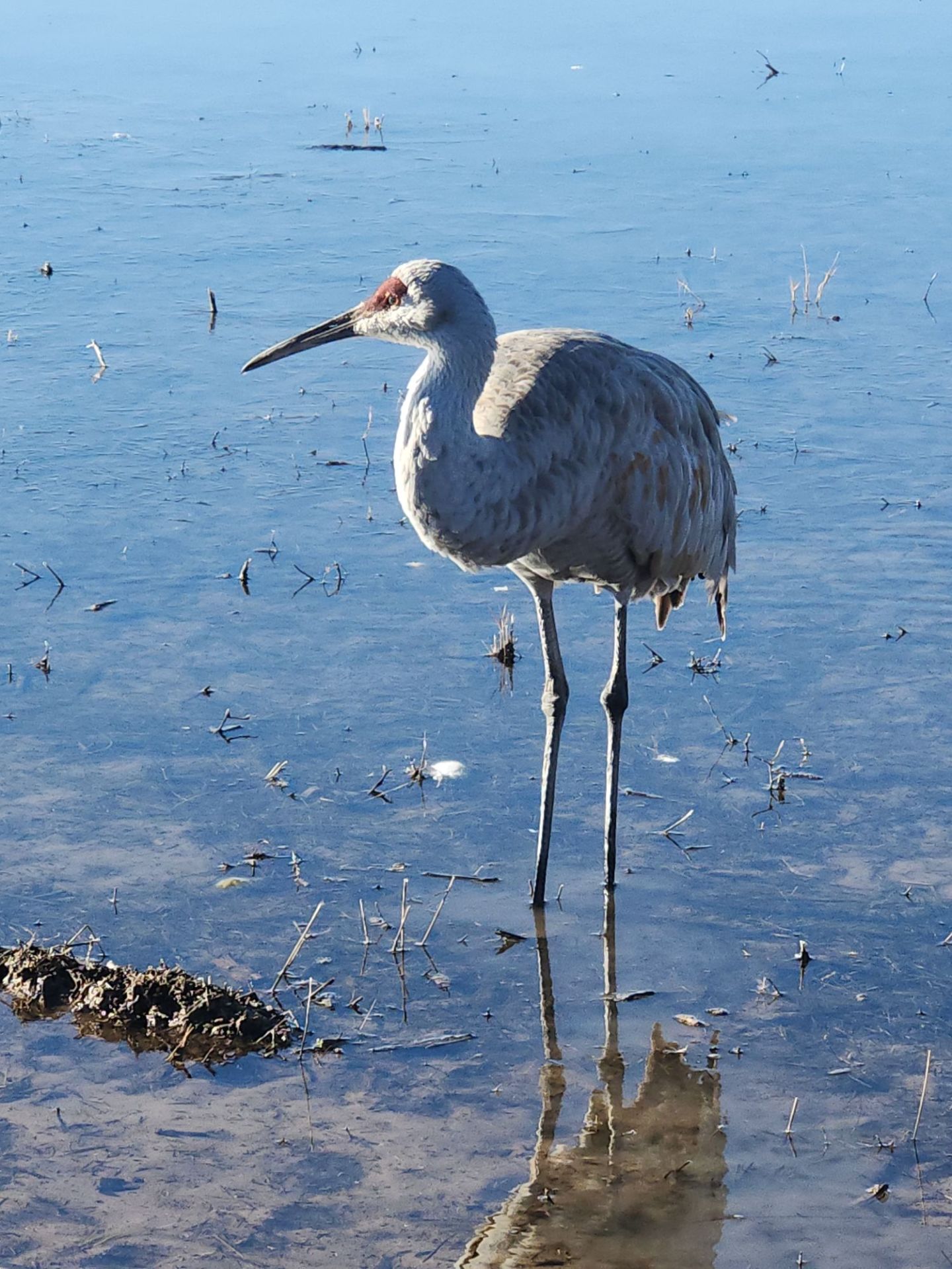 We’ve settled in – Colorways by Vicki Welsh